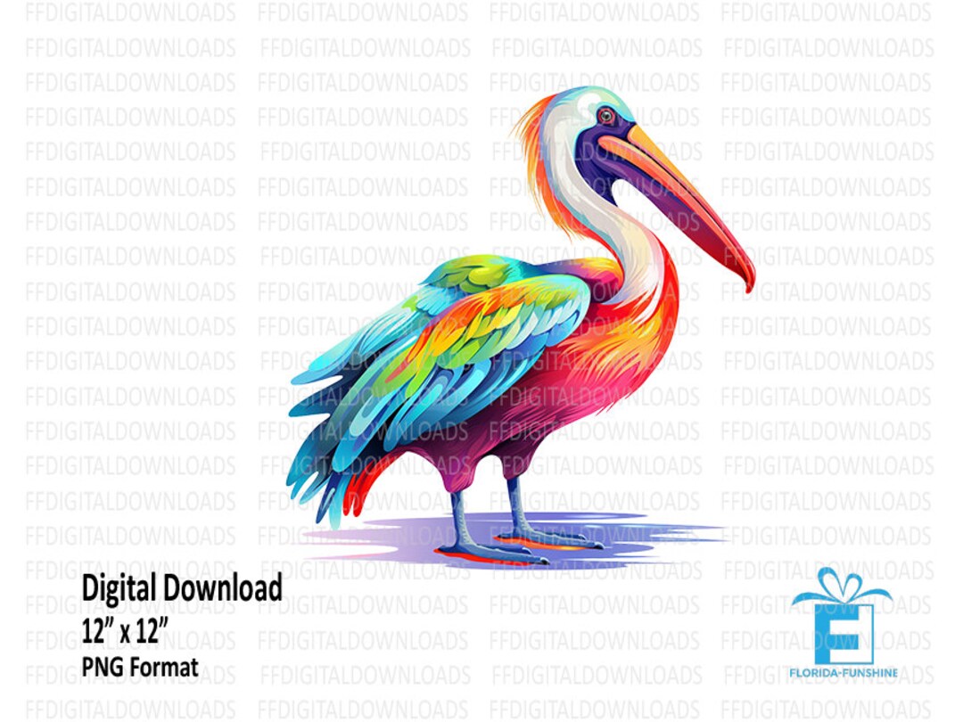 Colorful Pelican PNG, Pelican Clipart, Watercolor Pelican, Pelican Png ...