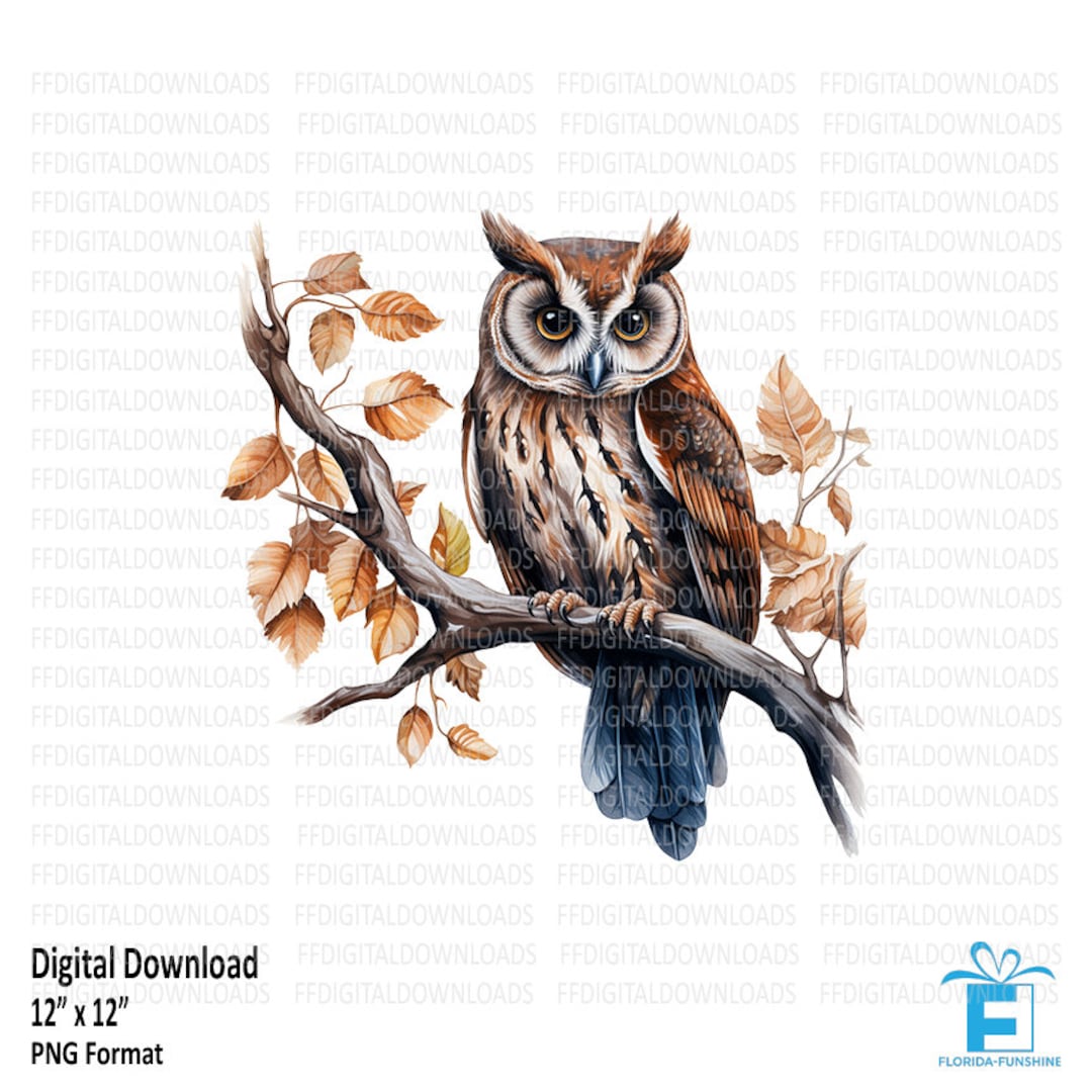 Owl Clipart, Owl on Branch Clipart, PNG, Owl Digital Clipart, Owl Image ...