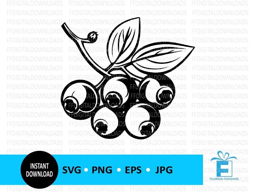 Blueberries SVG Blueberries PNG Blueberry Svg Berries - Etsy