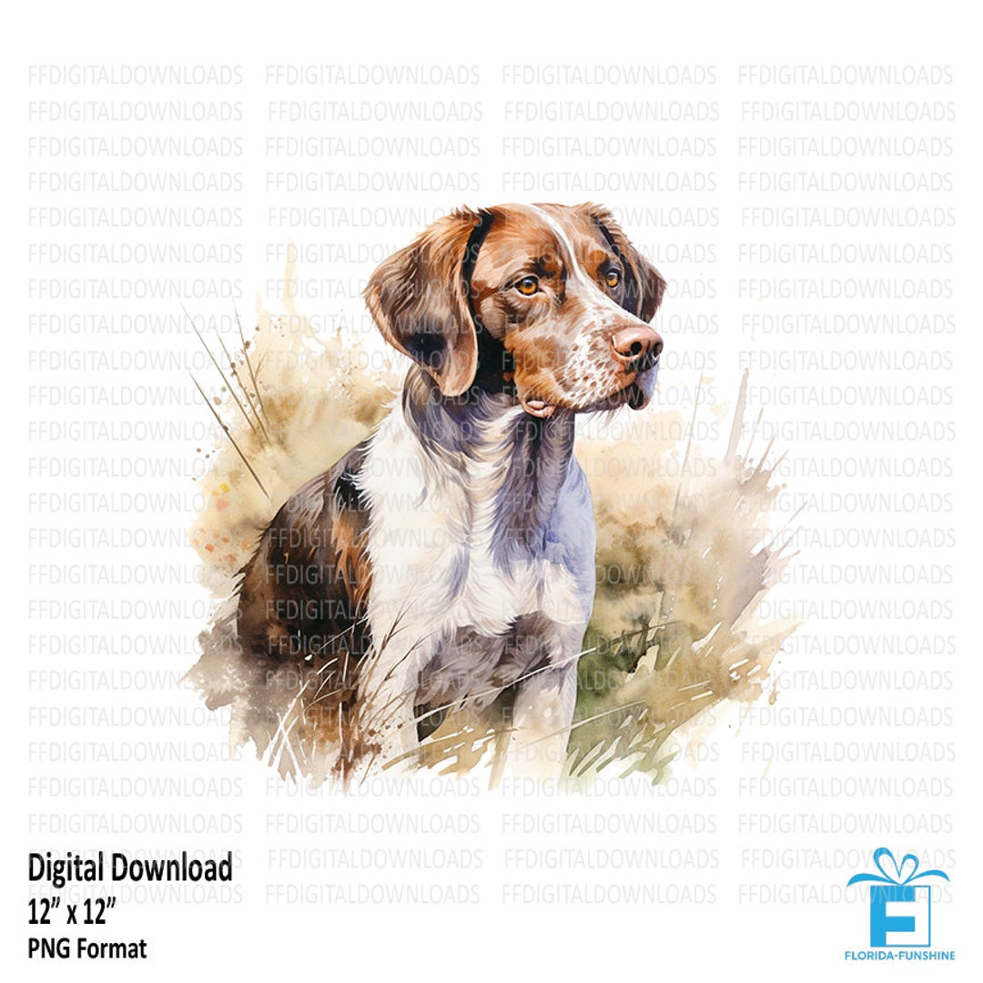 Hunting Dog Clipart Hunting Dog Png Watercolor Hunting Dog - Etsy