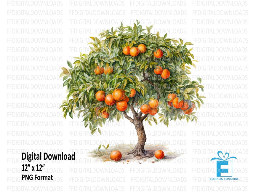 Orange Tree Png Orange Tree Clipart Watercolor Orange Tree - Etsy