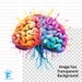 Colorful Brain Clipart, Brain PNG, Watercolor Brain, Brain Digital ...