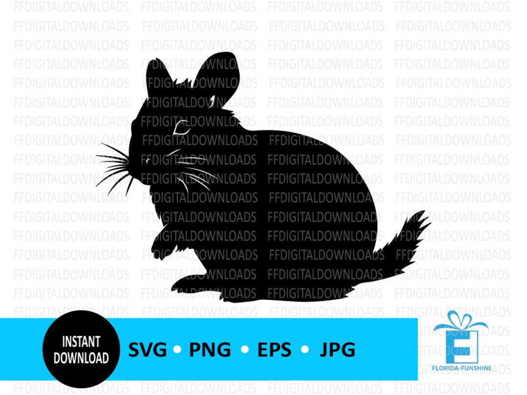 Chinchilla SVG Chinchilla PNG Chinchilla Clipart Chinchilla - Etsy