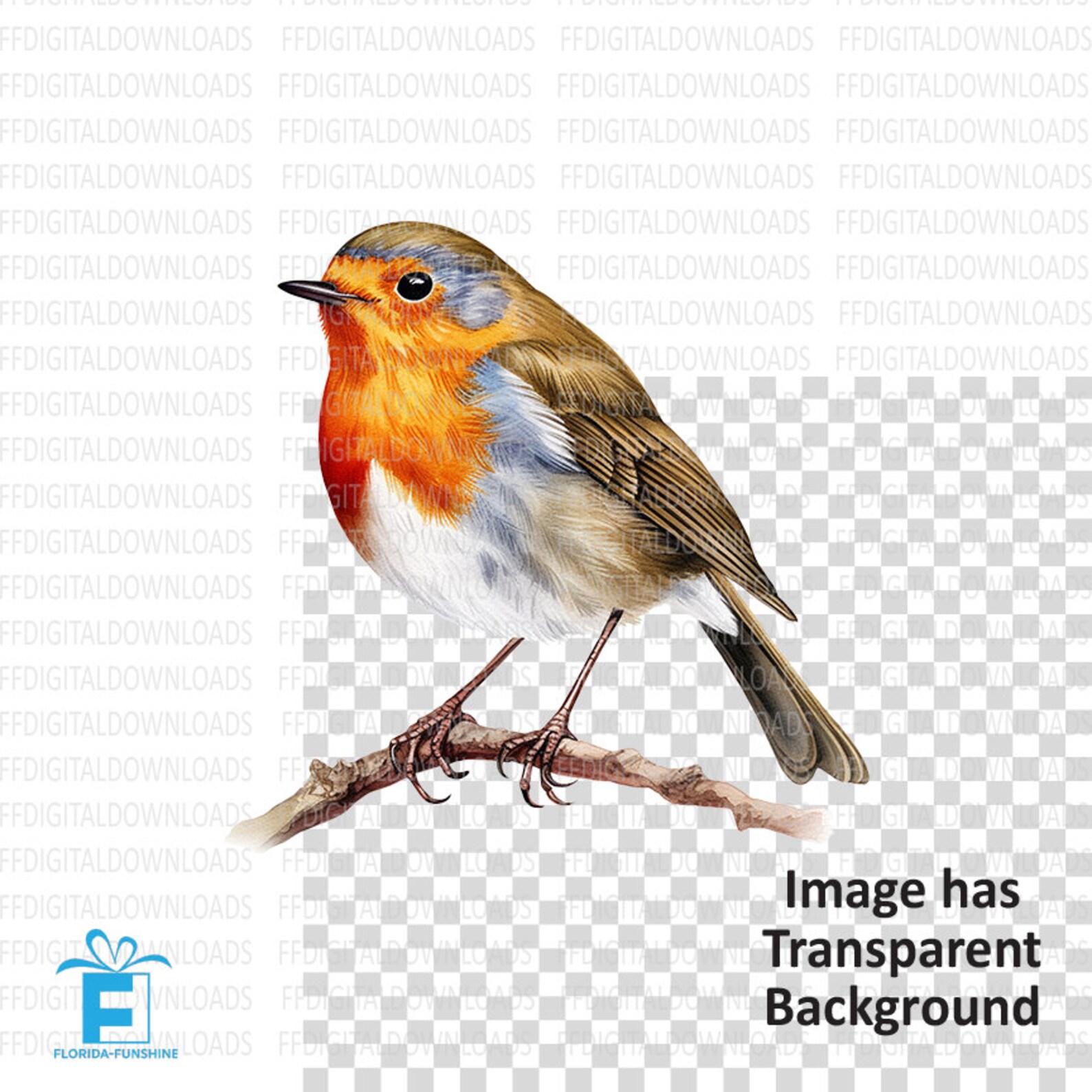 Robin Clipart Robin Png Watercolor Robin Robin Bird Design - Etsy