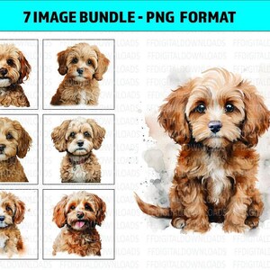 Cavapoo Clipart Bundle, 7 High-quality Pngs, Cavapoo Png, Cavapoo Image ...