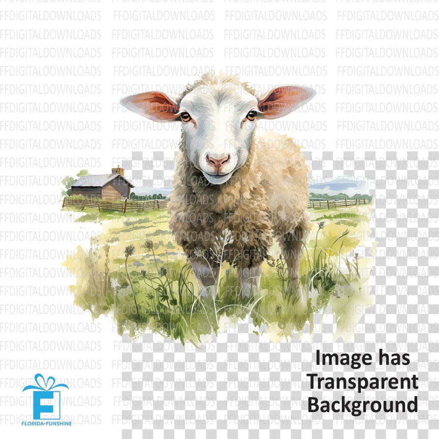 Sheep Clipart Sheep Png Watercolor Sheep Sheep on a Farm - Etsy