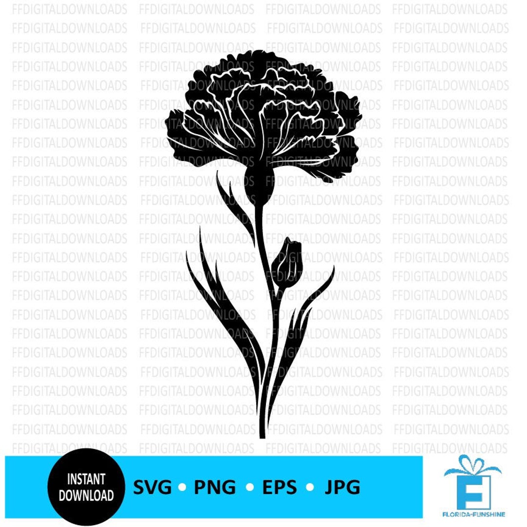 Carnation SVG Carnation PNG Carnation Flower Clipart - Etsy