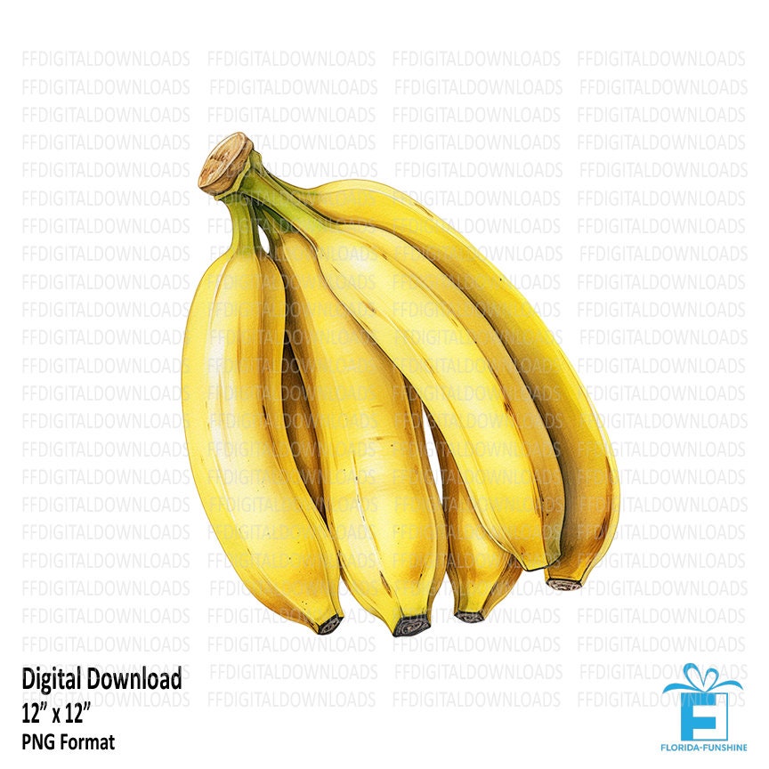 Banana Clipart Bananas Png Watercolor Bananas Digital - Etsy
