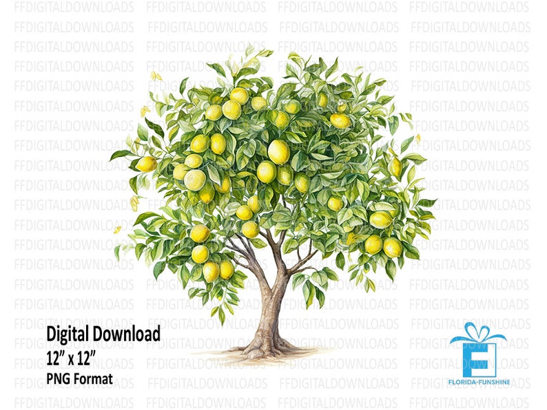 Lemon Tree Png Lemon Tree Clipart Lemon Tree Image Lemon - Etsy