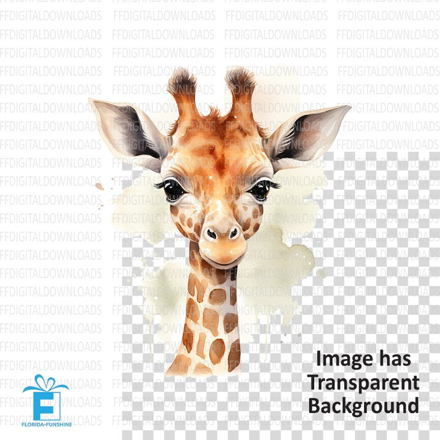 Giraffe PNG Baby Giraffe Clipart Giraffe Clipart Baby - Etsy