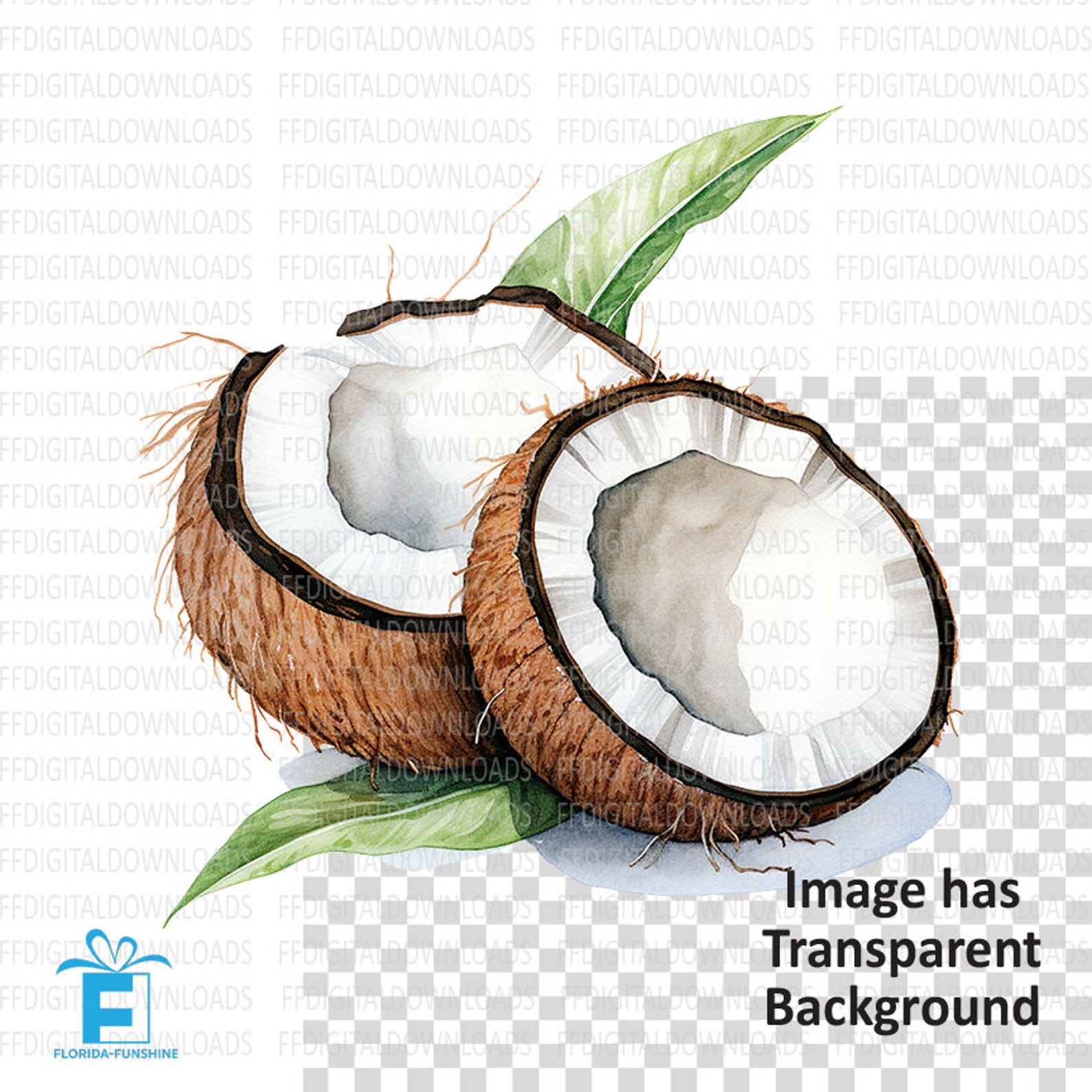 Coconut Clipart Coconut PNG Coconut Image Watercolor - Etsy