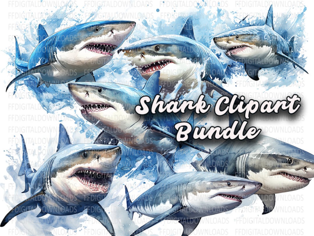 Shark Clipart Bundle, 7 High-quality Pngs, Shark Png, Great White Shark ...