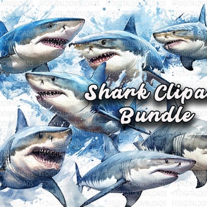 Shark Clipart Bundle, 7 High-quality Pngs, Shark Png, Great White Shark ...