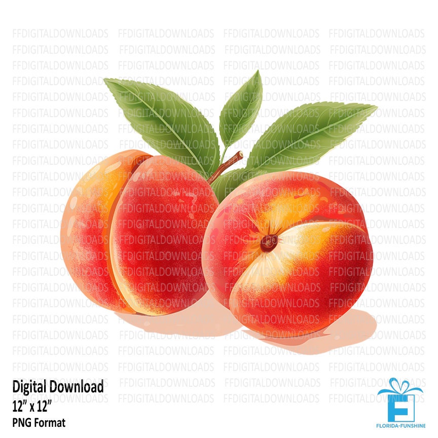 Peaches Clipart Peaches Png Watercolor Peaches Peach - Etsy