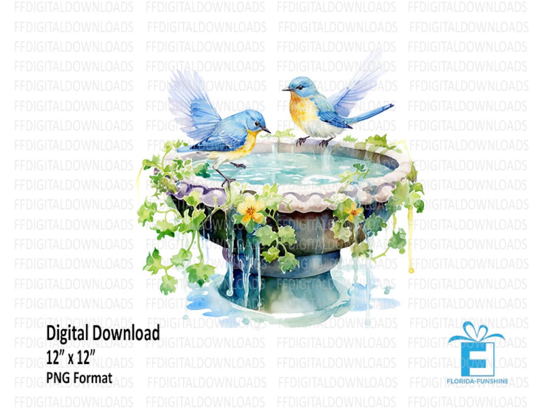 Bird Bath PNG Bird Bath Clipart Watercolor Bird Bath Bird - Etsy