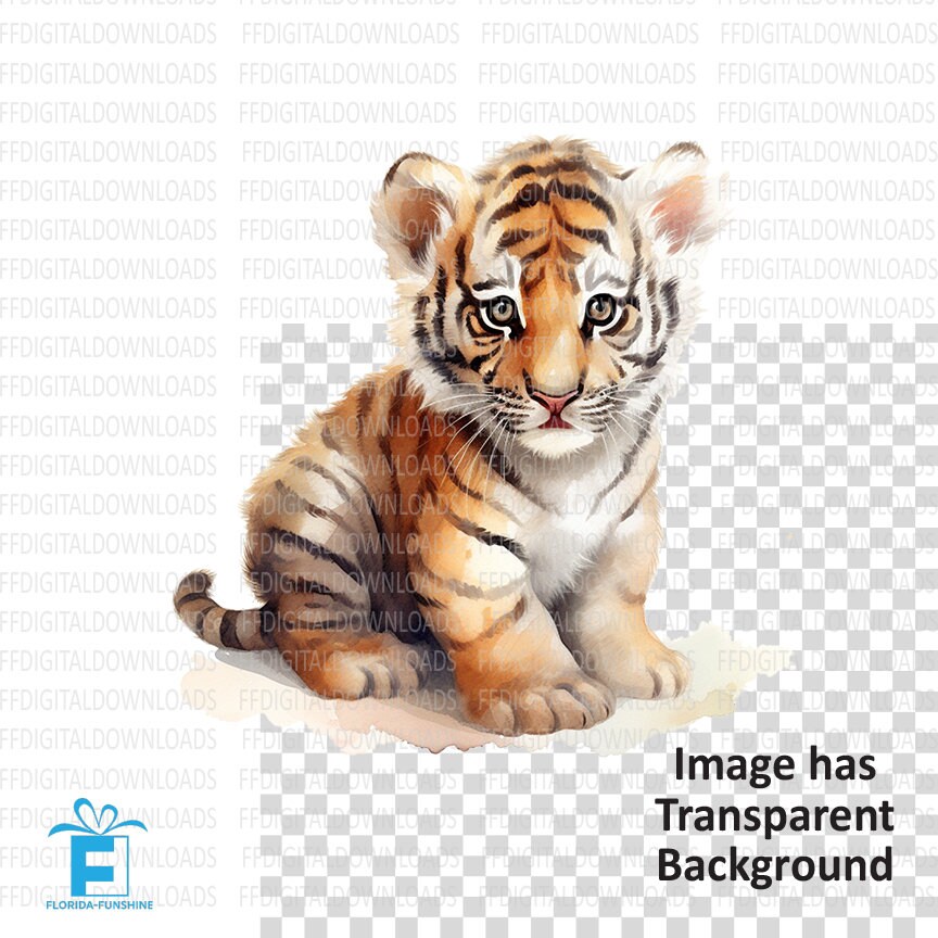 Baby Tiger Clipart Baby Tiger PNG Tiger Png Baby Tiger - Etsy