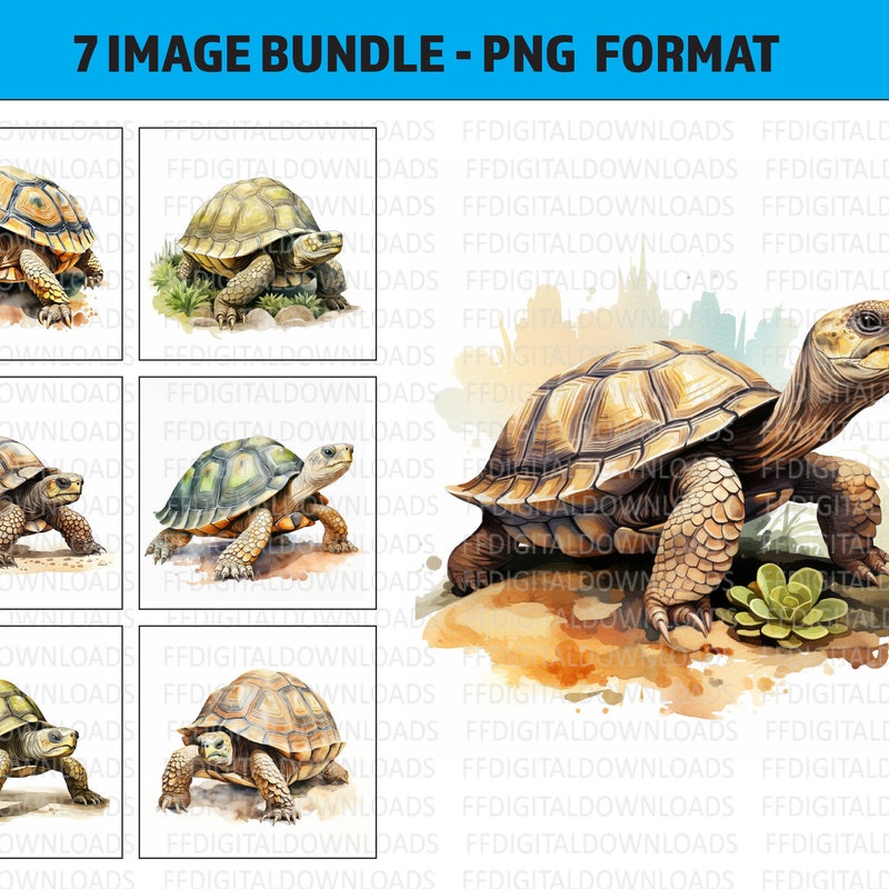 Tortoise Watercolor - Etsy