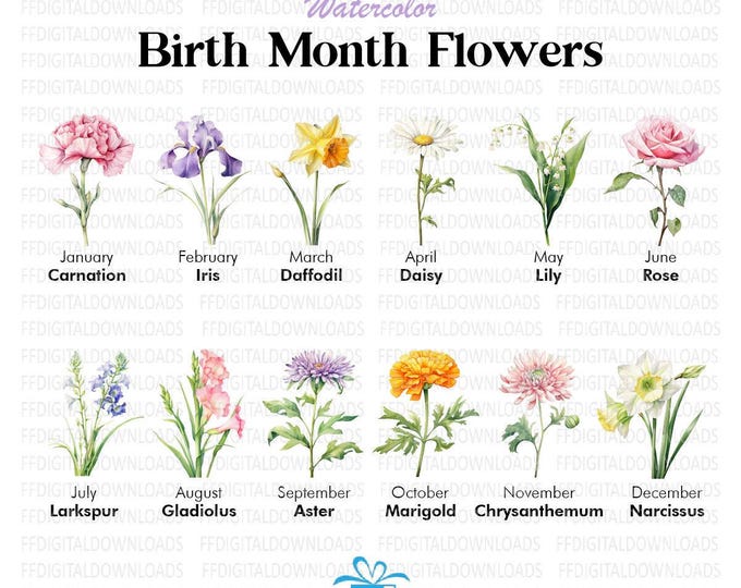 Birth Month Flowers Clipart Bundle: Floral Digital Designs (PNG Files ...