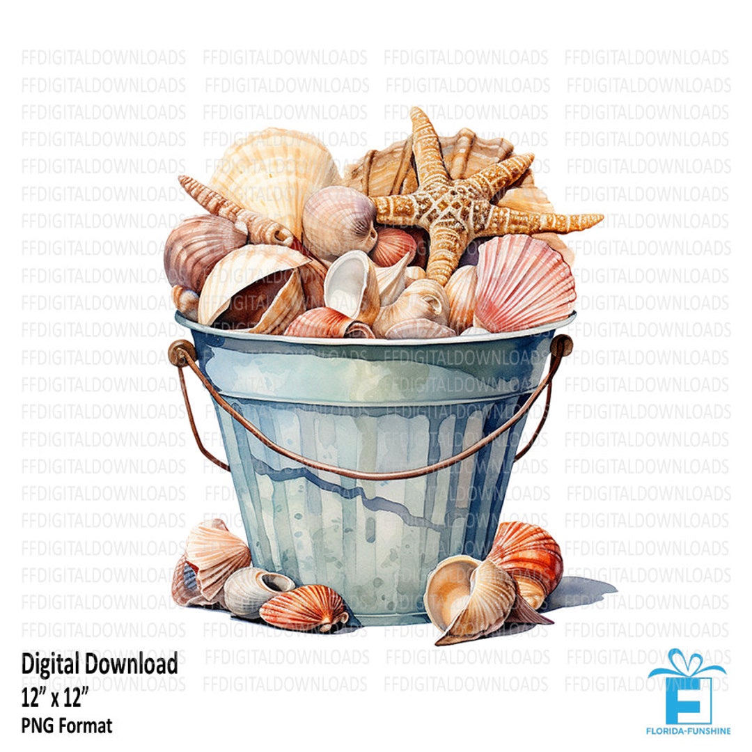 Seashell Clipart, Seashell Png, Seashells in a Bucket Png, Watercolor ...