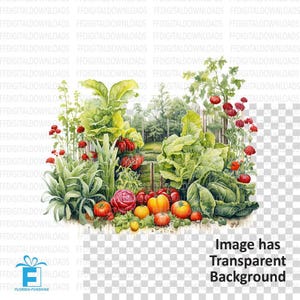 Vegetable Garden Clipart, Vegetable Garden Png, Vegetable Garden ...