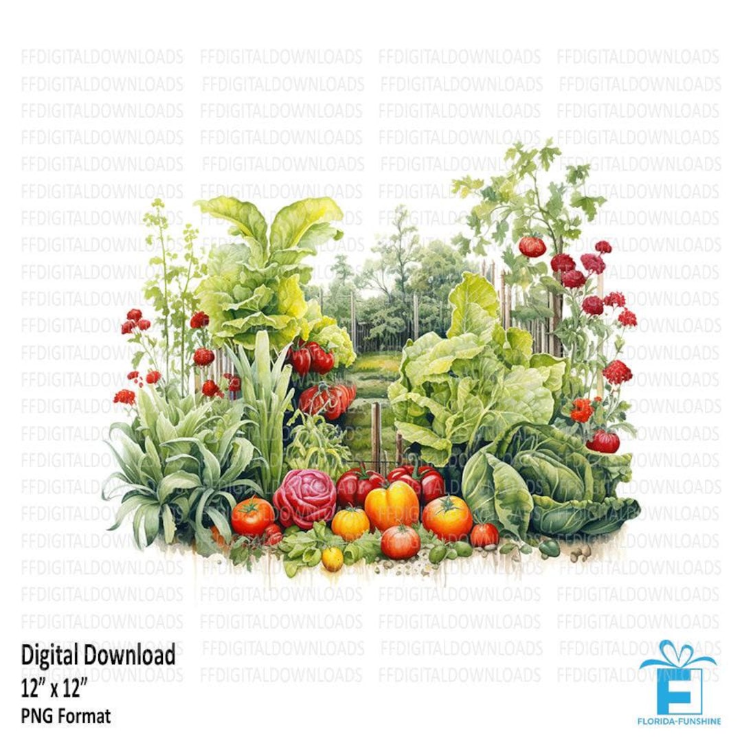 Vegetable Garden Clipart, Vegetable Garden Png, Vegetable Garden ...
