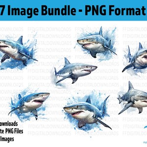 Shark Clipart Bundle, 7 High-quality Pngs, Shark Png, Great White Shark ...