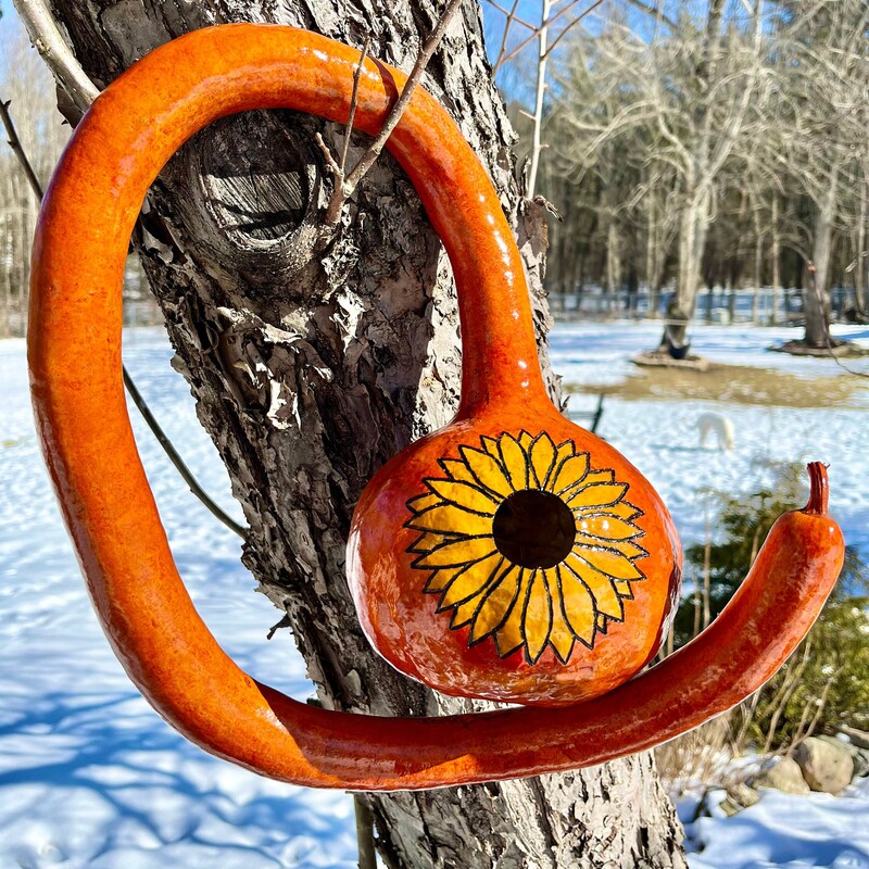 Gourd Birdhouse - Etsy