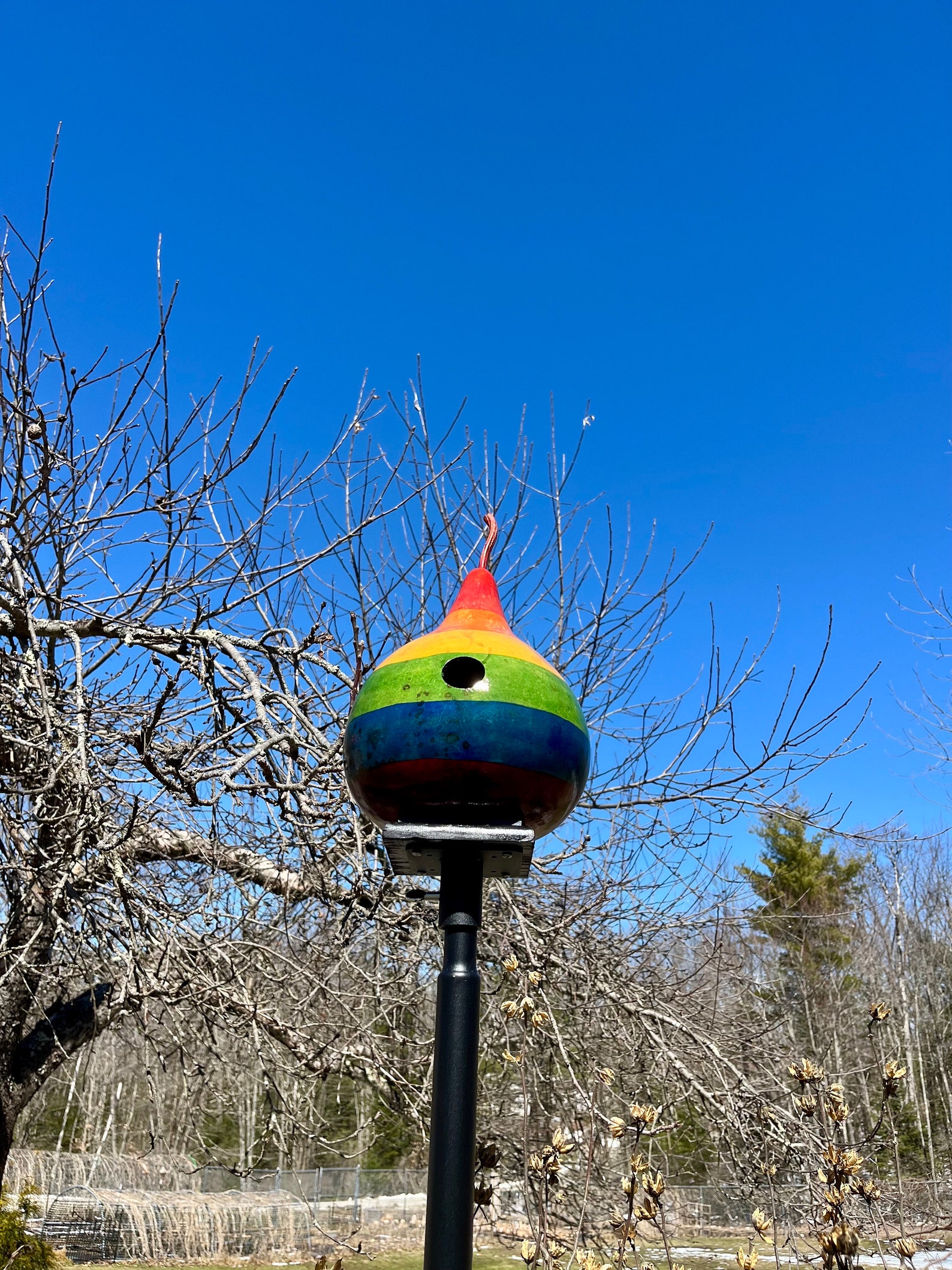 Pride Gourd Birdhouse Post Mount - Etsy