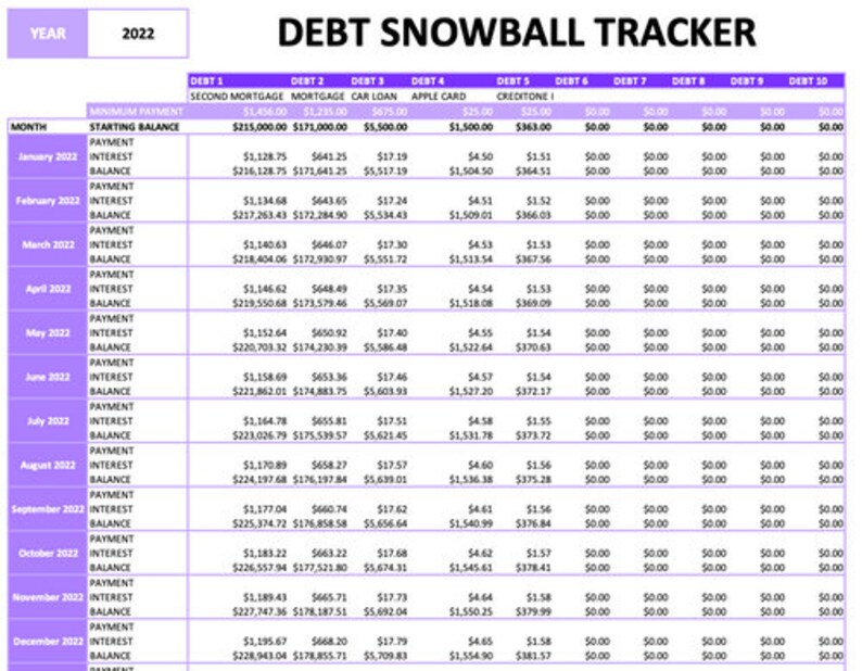 Debt Snowball Tracker - Etsy