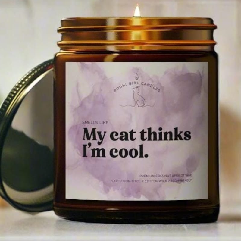 Funny Cat Saying Candles - Etsy