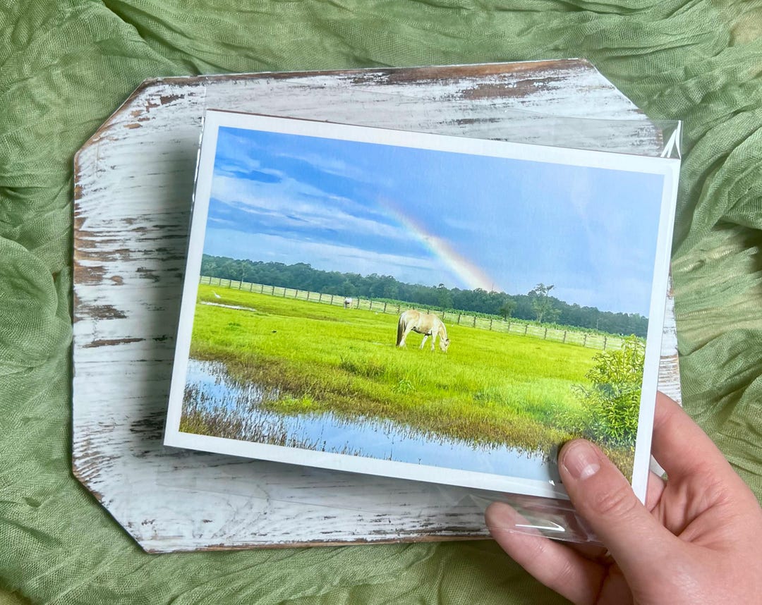 Horse in Pasture With Rainbow, Charleston, SC - 5x7 Photo Print - Etsy