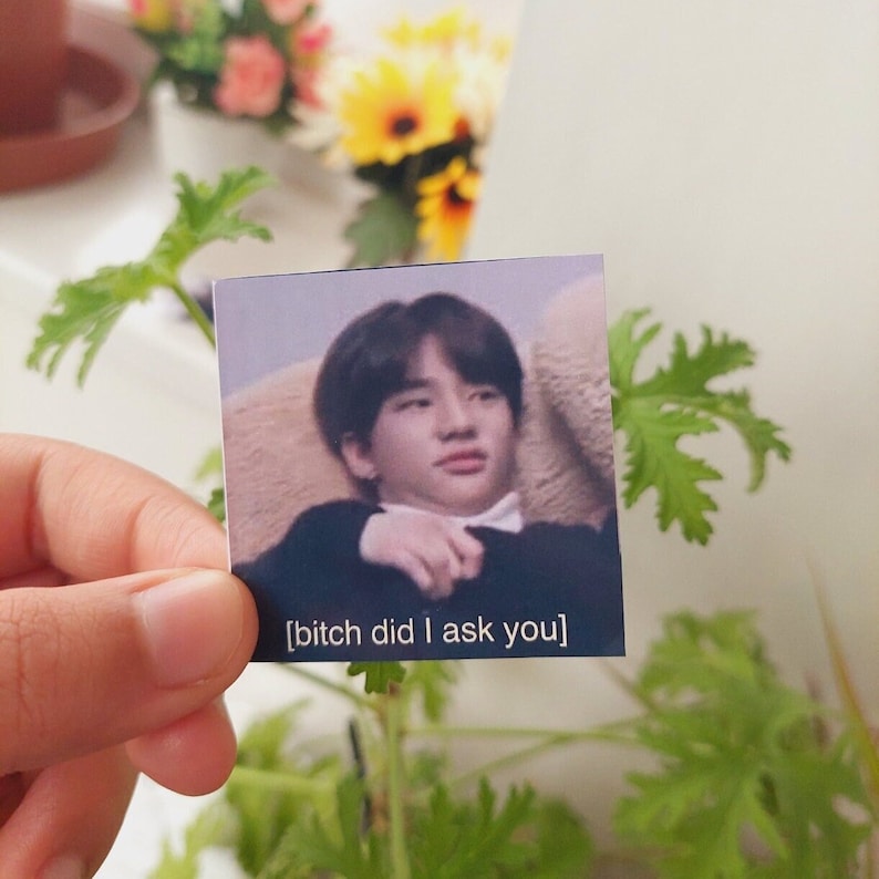 Stray Kids Meme Sticker free Photocard Included Hyunjin - Etsy