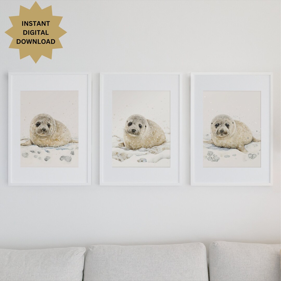 Set of 3 Seal Watercolour Wall Art Print, Nursery Illustrations, Seal ...