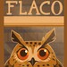 Flaco in Window New York Eurasian Eagle Owl Illustrated Print 5"x7" - Etsy