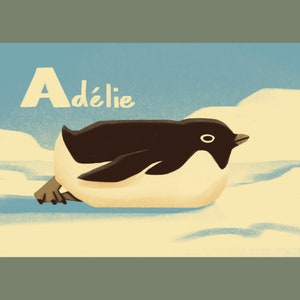 Adélie Penguin Illustrated Print 7"x5" - Etsy