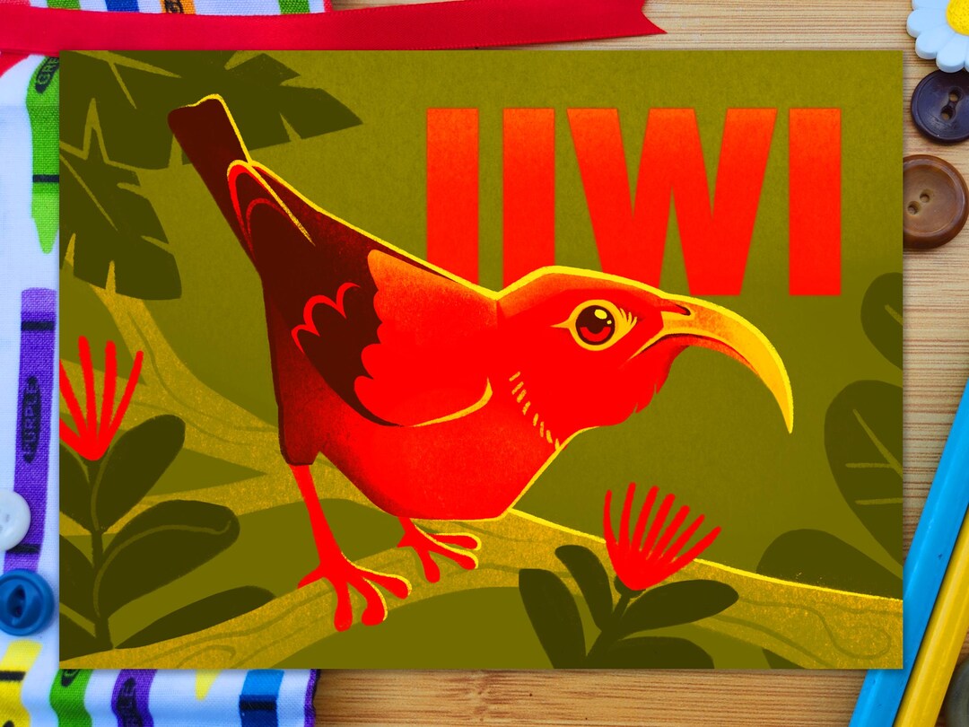 Iiwi Hawaii Honeycreeper Red Bird Illustrated Print 7"x5 ...