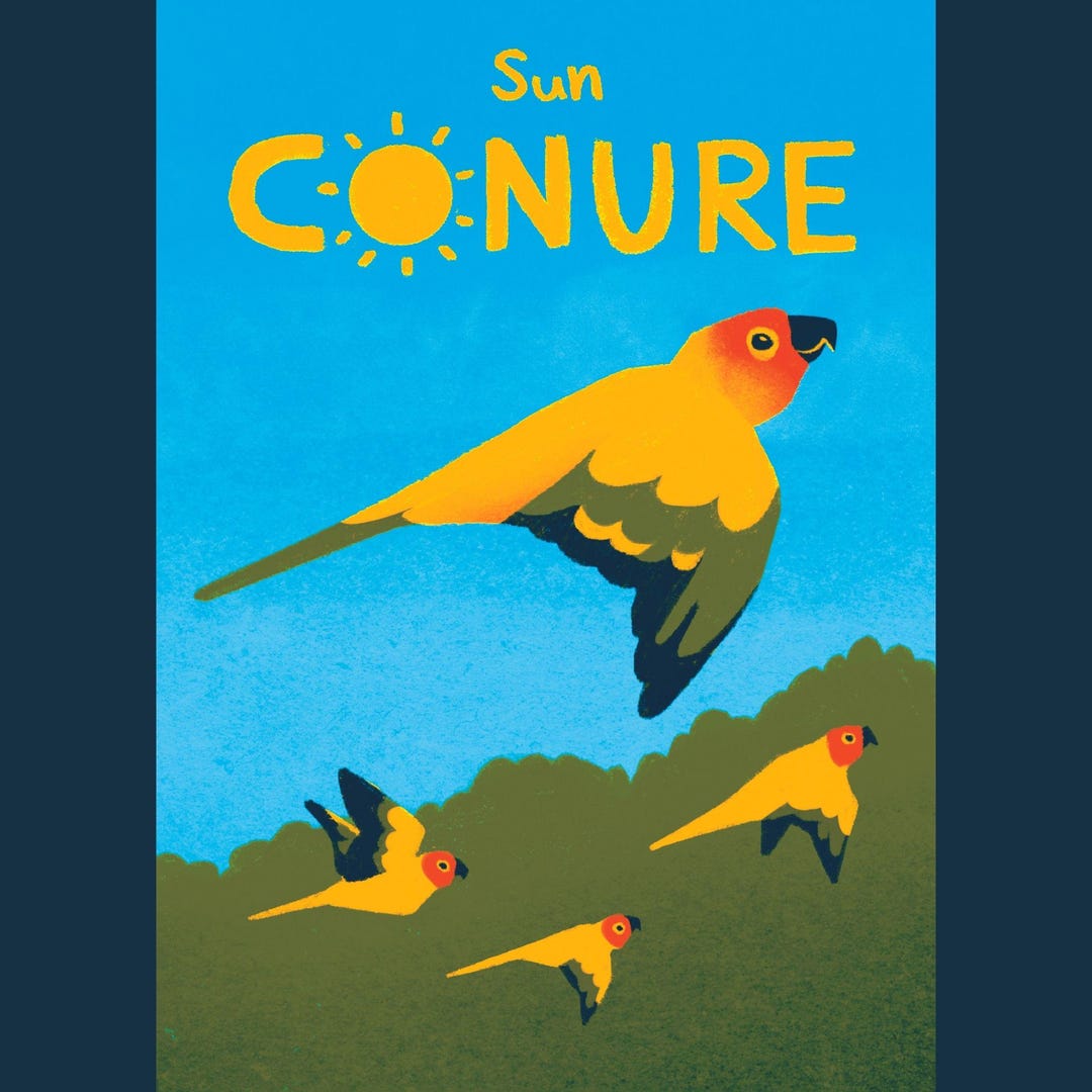 Digital Download Sun Conure Print - Etsy
