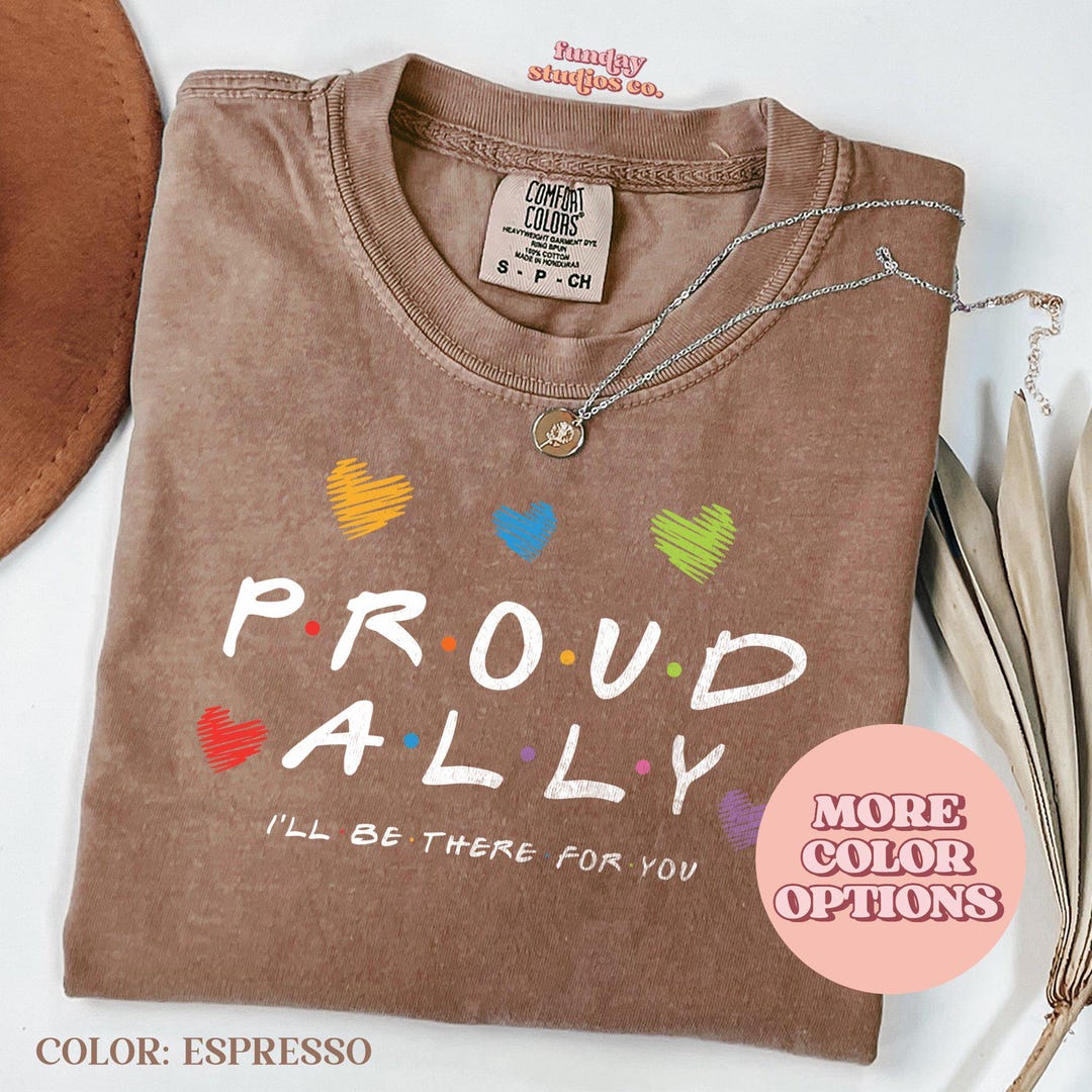 Proud Ally T-shirt, LGBTQ+ Pride Apparel, Unisex Tee, Comfort Fit ...