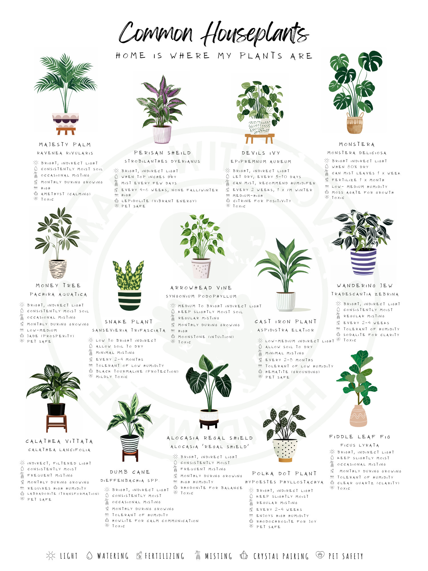 Common Houseplant Care Guide Poster for Plant Lover - Beginner Friendly ...