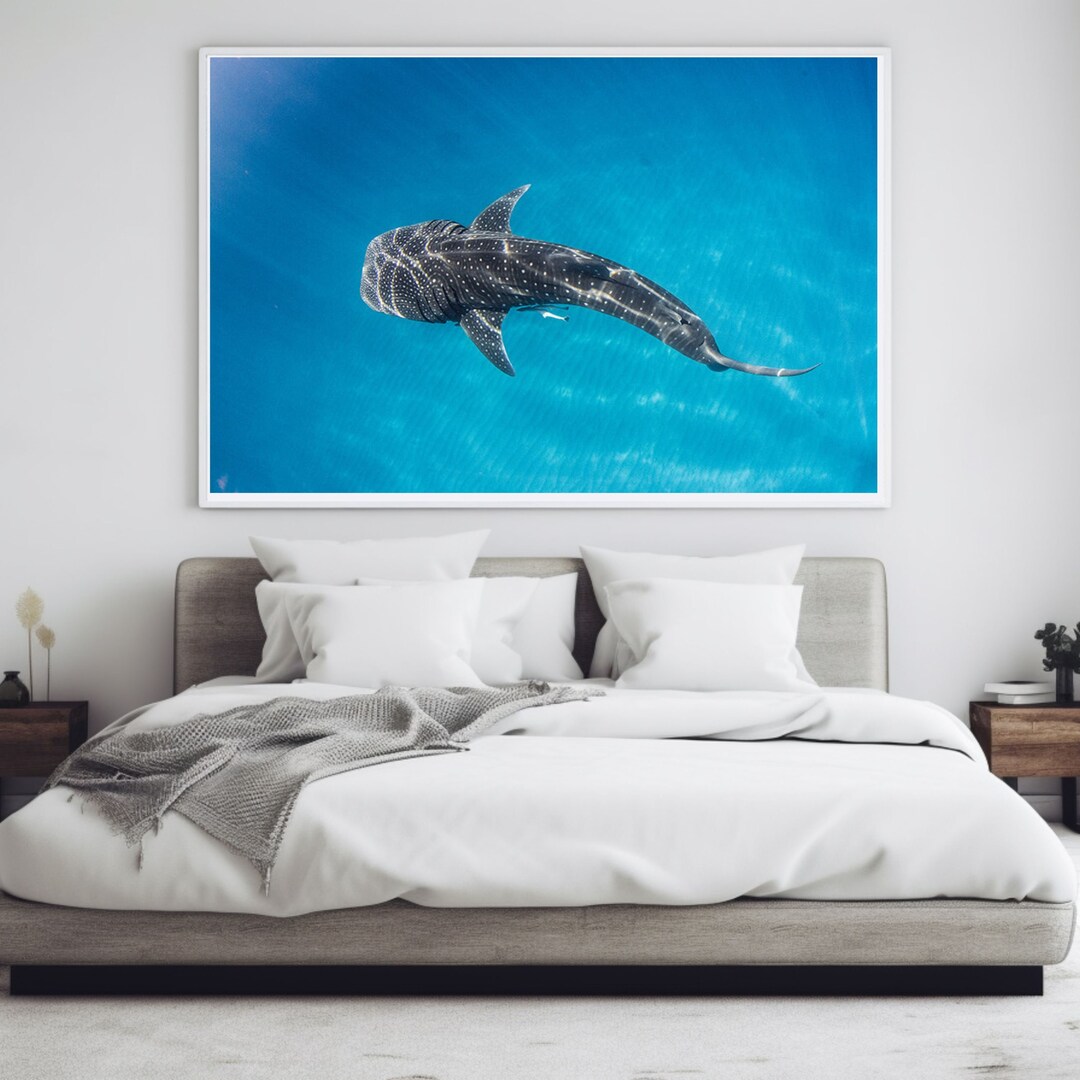 Ningaloo Reef Whale Shark in Turquoise Water Art Print - Etsy