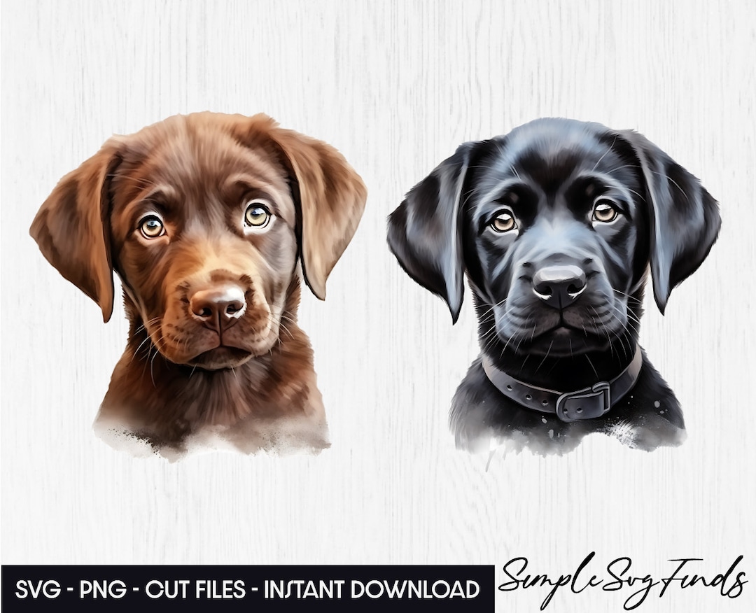 Puppy Labrador Clipart Brown Black Labrador Retriever Png - Etsy