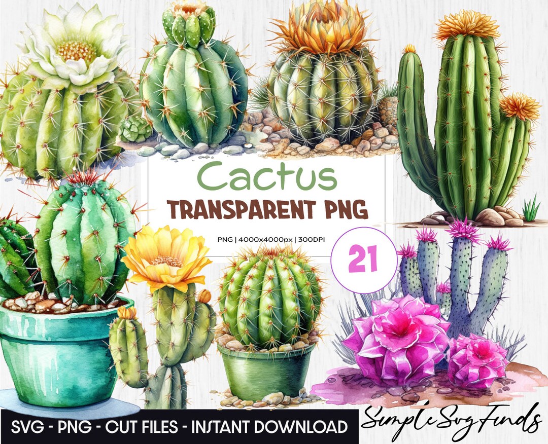 Watercolor Cactus Clipart, Desert Cactus Clipart, Desert Cacti ...
