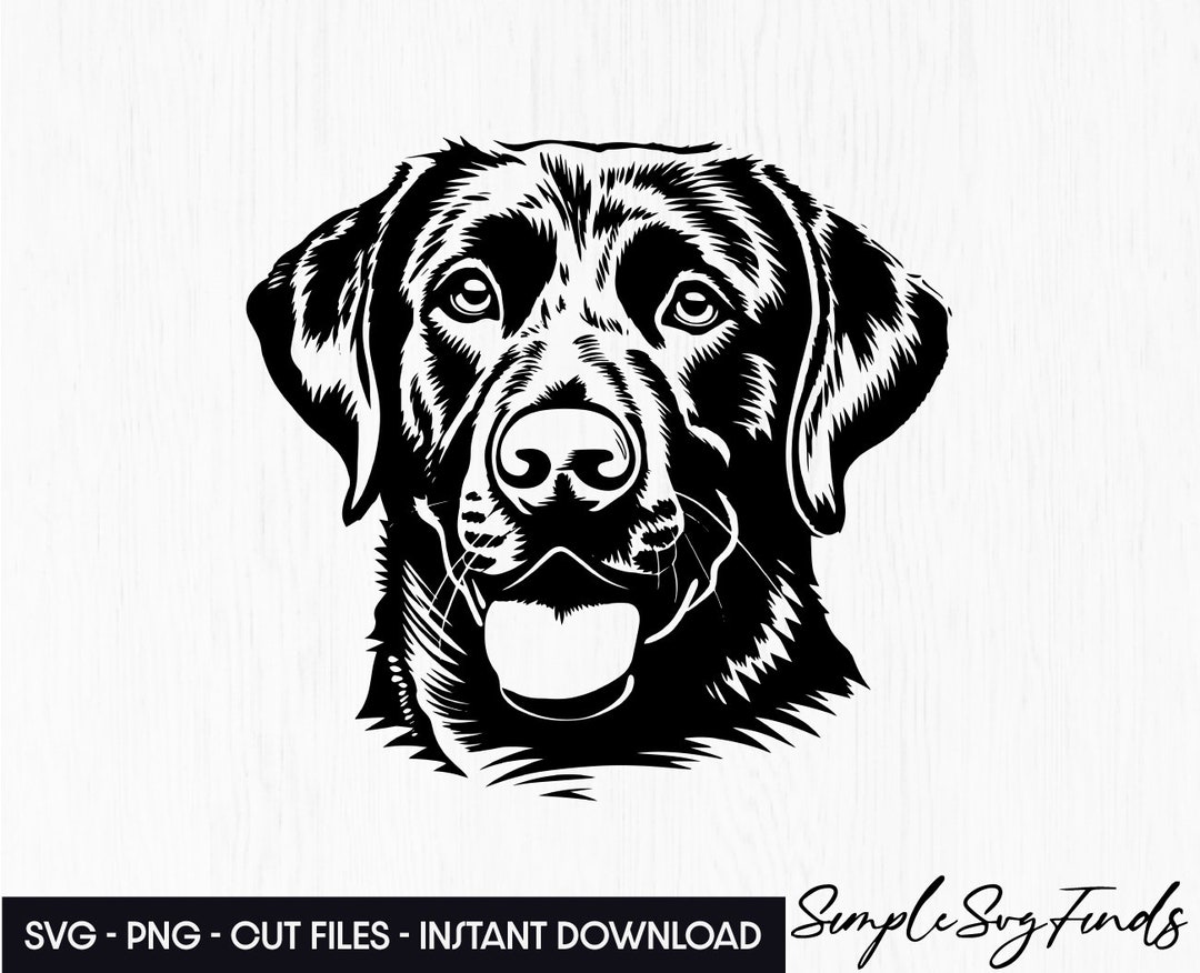 Dog Face Svg, Labrador Retriever, Svg, Png, Download, Digital Image ...