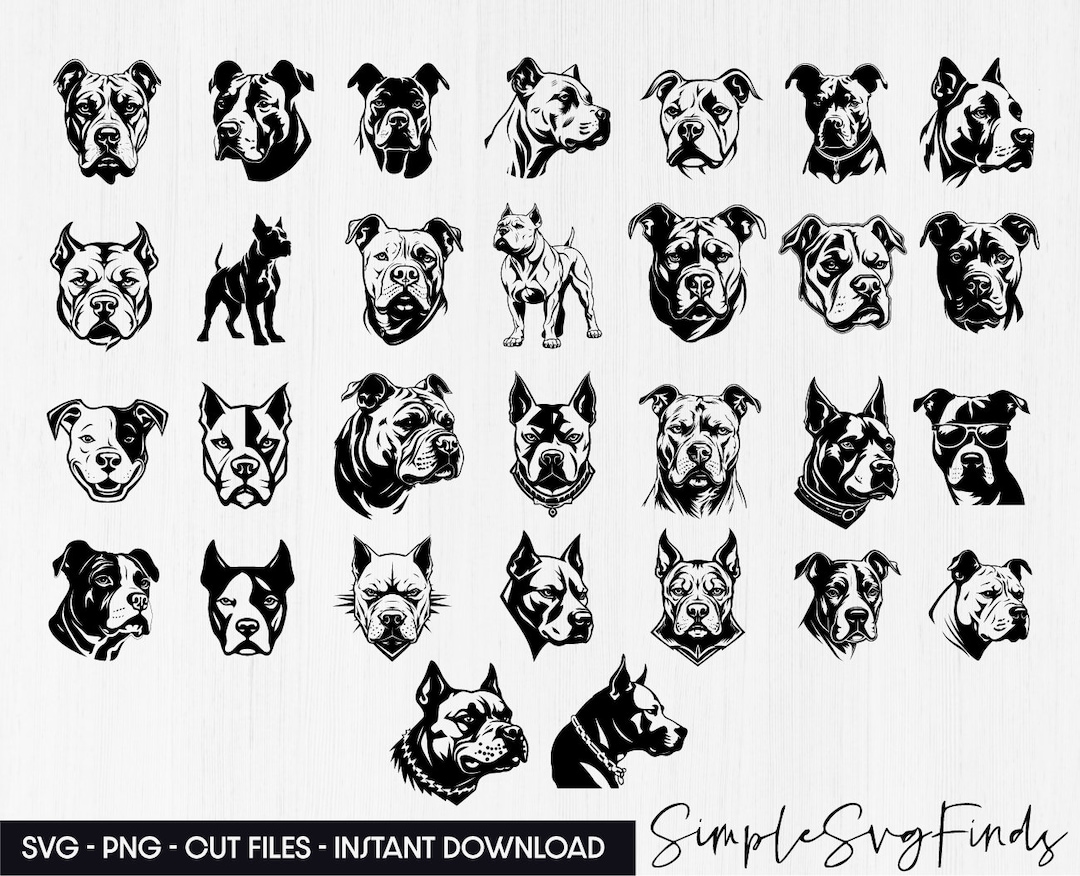 30 Pitbull svg paquete Png Clipart, Archivos de corte de camisa ...