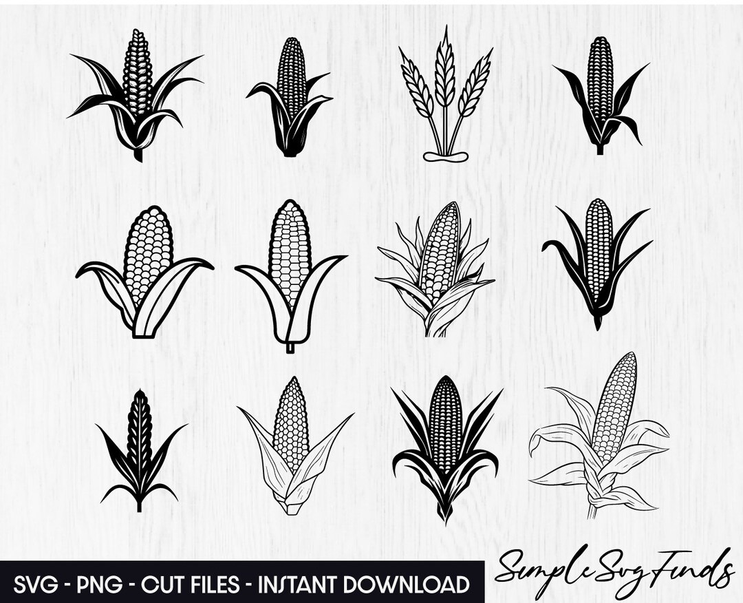 Corn SVG Bundle, SVG Files for Cricut, Corn Clipart, Farm Svg ...
