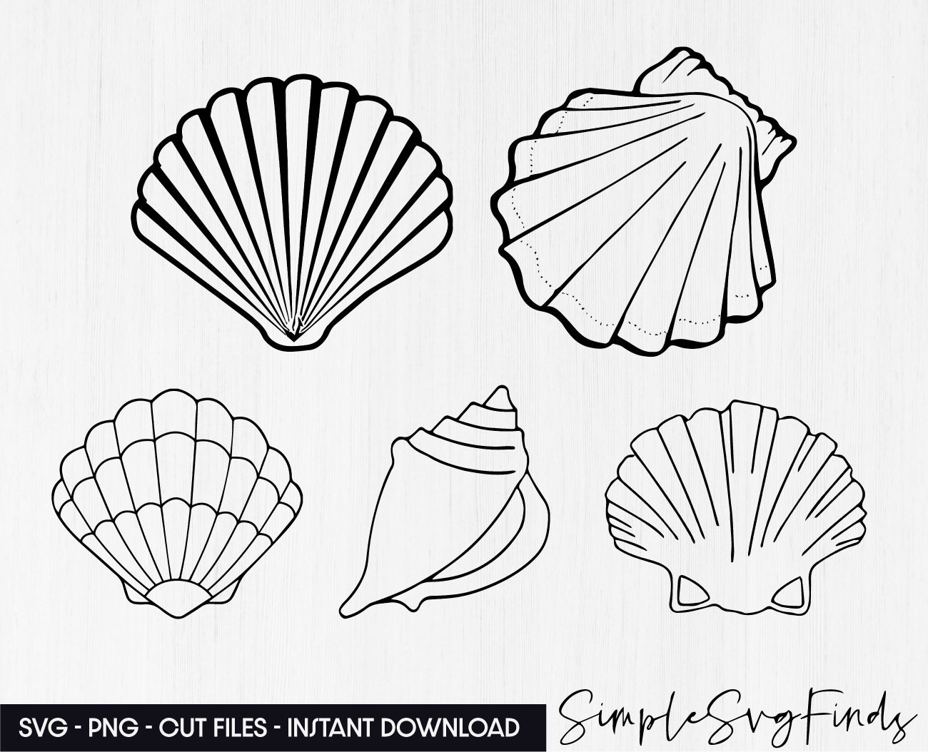 Scallop Seashell Svg, Beach Shell Clipart Instant Digital Download SVG ...