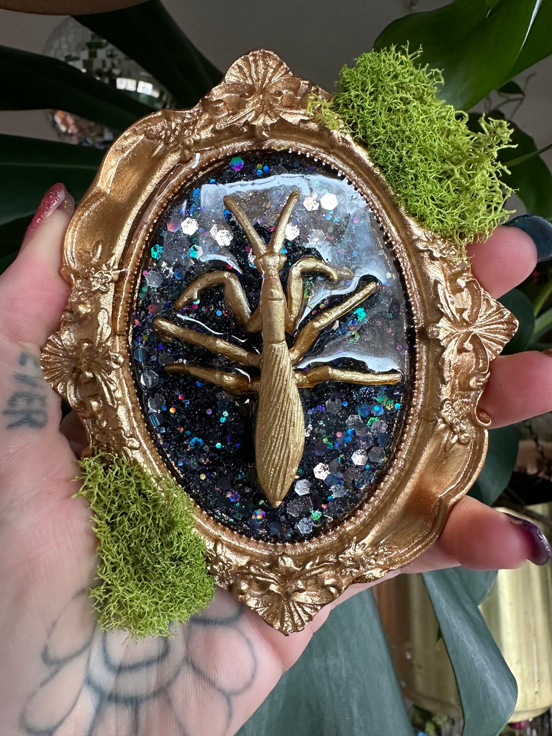 Spider Frame , Jumping Spider Home Decor , Pet Jumping Spider, Spider ...