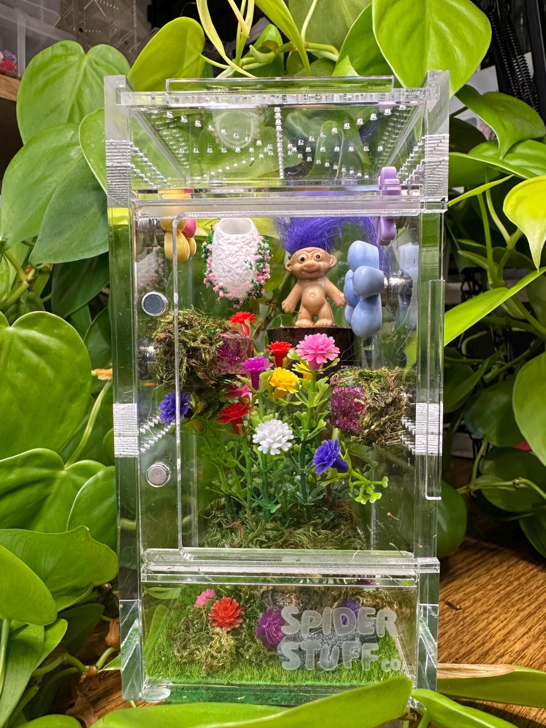 ORIGINAL Small Modular Spider Enclosure 3x5.75 , Jumping Spider Home ...