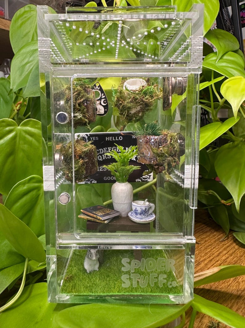 ORIGINAL Small Modular Spider Enclosure 3x5.75 , Jumping Spider Home ...