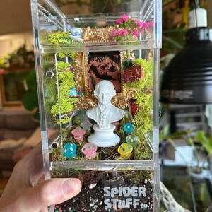 Spider Stuff Bioactive Enclosure Large 4x 4 X 8, Spider Enclosure ...